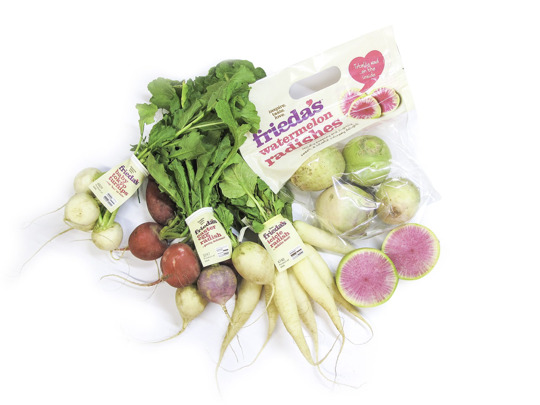 Get Ready for Back to School with Frieda’s | Frieda's Inc. - The ...