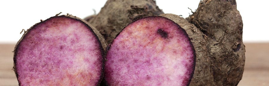 Ube or Not Ube, That Is the Question…and Frieda’s Is Answering | Frieda ...