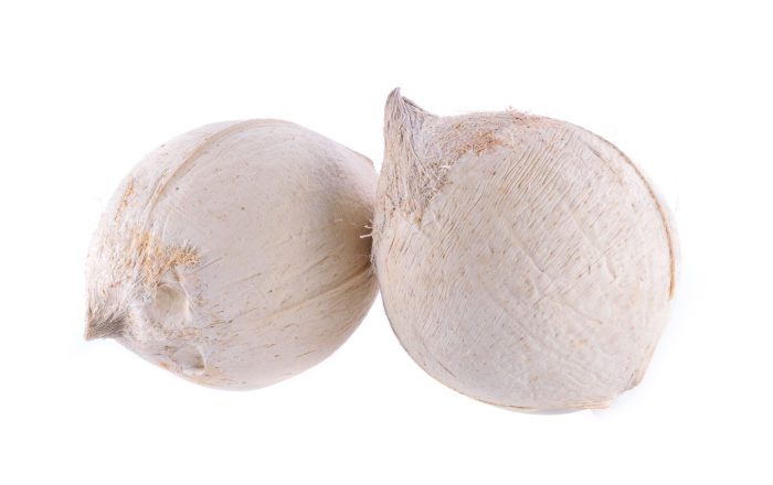 The Ultimate Coconut Guide | Frieda's Inc. - The Specialty Produce Company